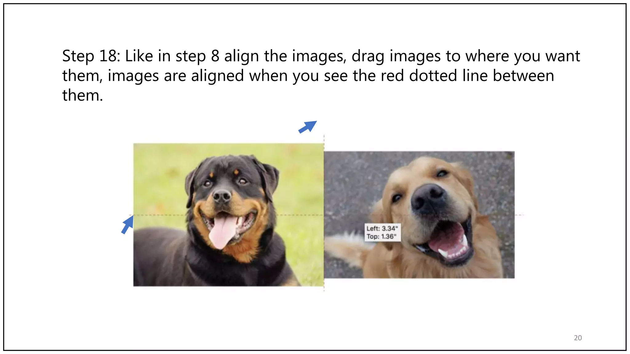 Image Scrolling Tutorial in PowerPoint | PPTX