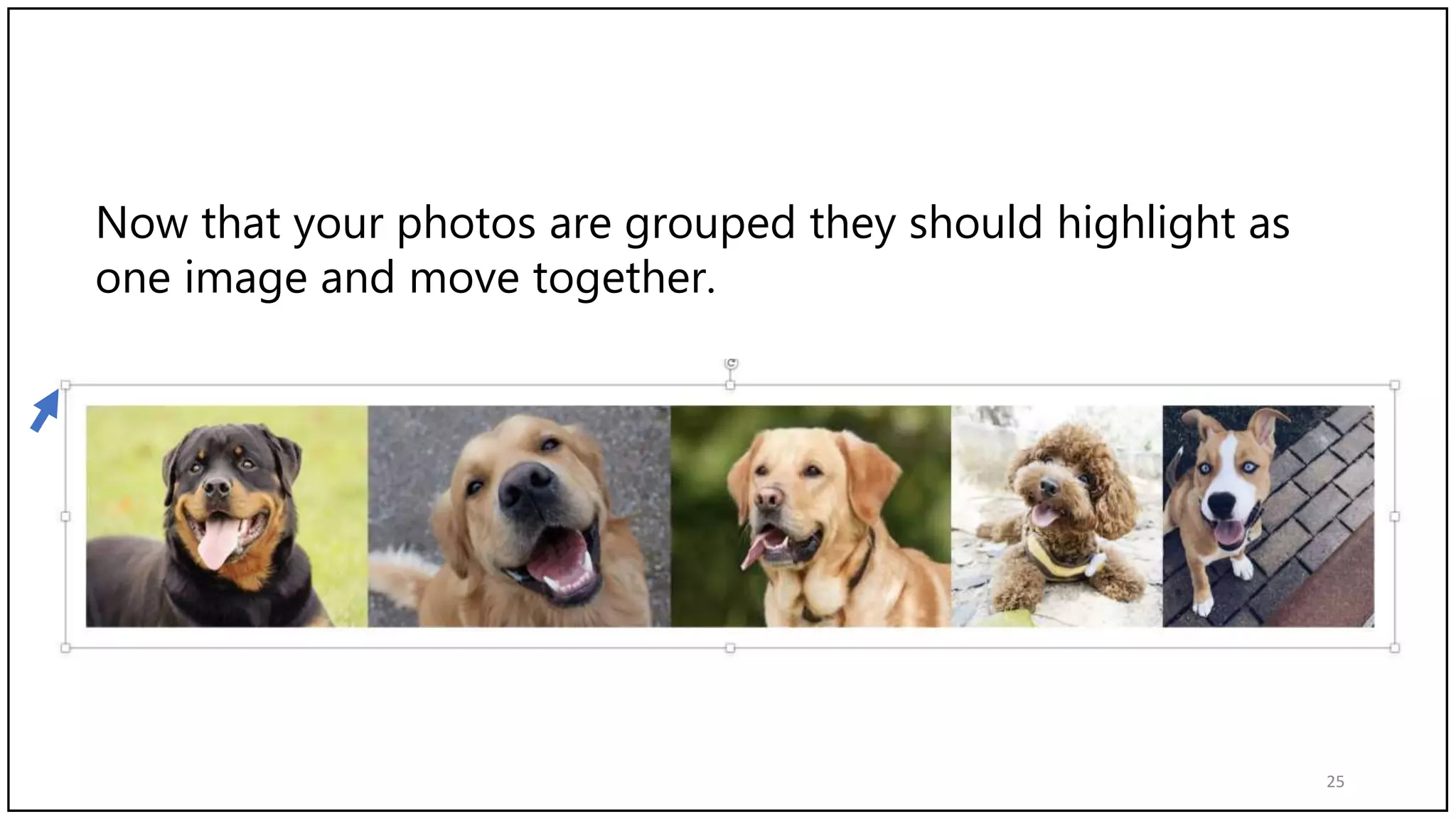 Image Scrolling Tutorial in PowerPoint | PPTX