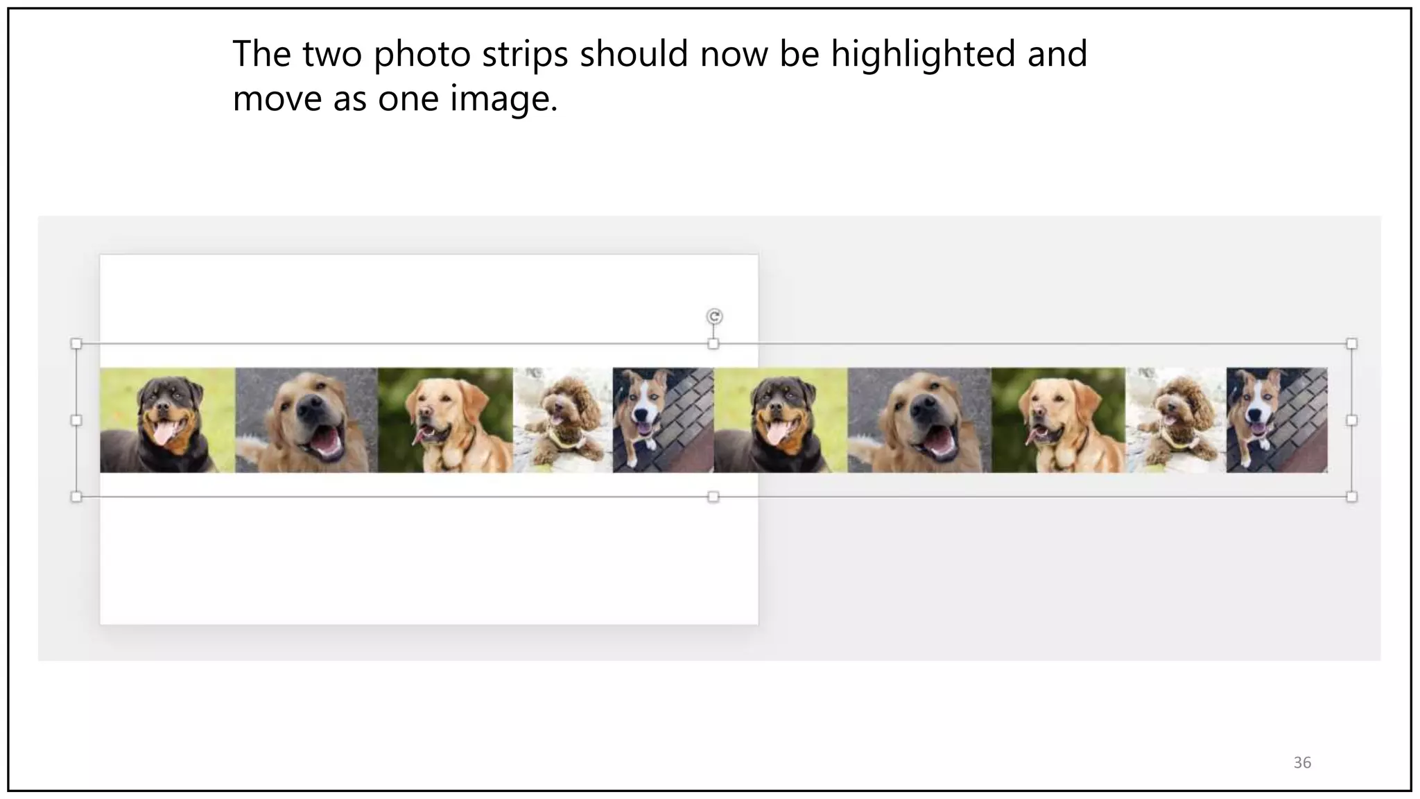 Image Scrolling Tutorial in PowerPoint | PPTX
