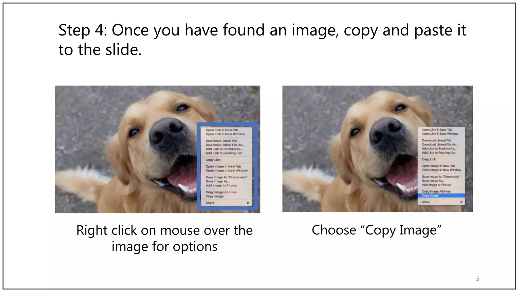 Image Scrolling Tutorial in PowerPoint | PPTX