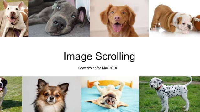 Image Scrolling Tutorial in PowerPoint | PPTX | Photo Editing Software | Computer Software and ...