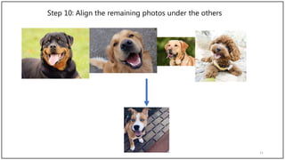 Image Scrolling Tutorial in PowerPoint | PPTX | Photo Editing Software | Computer Software and ...
