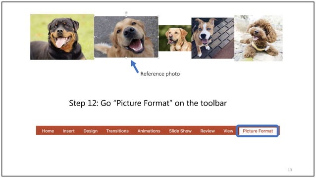 Image Scrolling Tutorial in PowerPoint | PPTX | Photo Editing Software ...