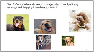 Image Scrolling Tutorial in PowerPoint | PPTX