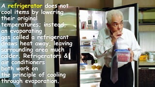 COOLING CONCEPT OF VEGETABLES IN REFRIGERATOR | PDF
