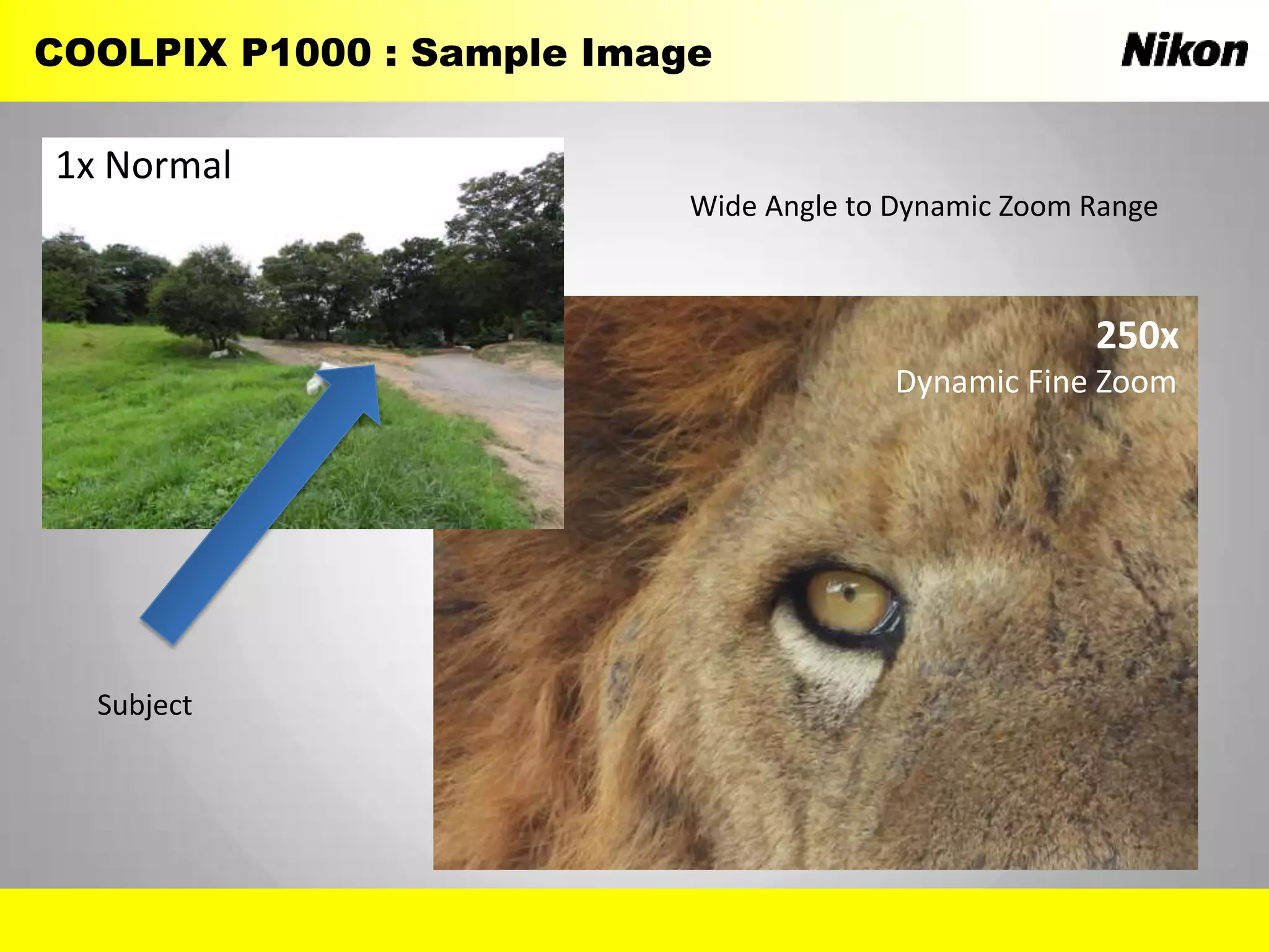 Nikon Coolpix P1000 | PDF