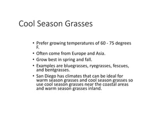 Cool Season Grasses | PDF