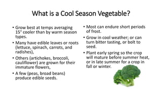 Growing Cool Season Vegetables on Your Farm | PPTX | Agriculture ...