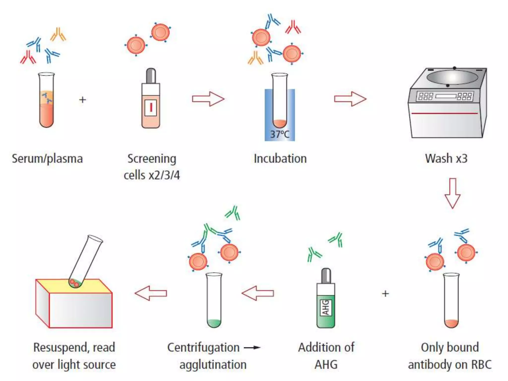 Coombs test | PPTX