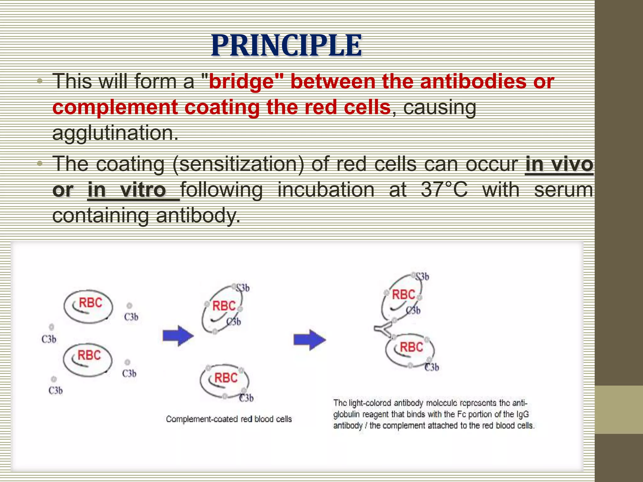 Coombs test | PPTX