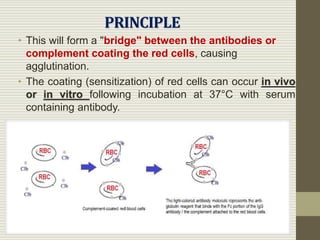 Coombs test | PPTX