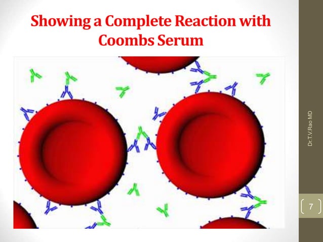 COOMBS TEST.ppt