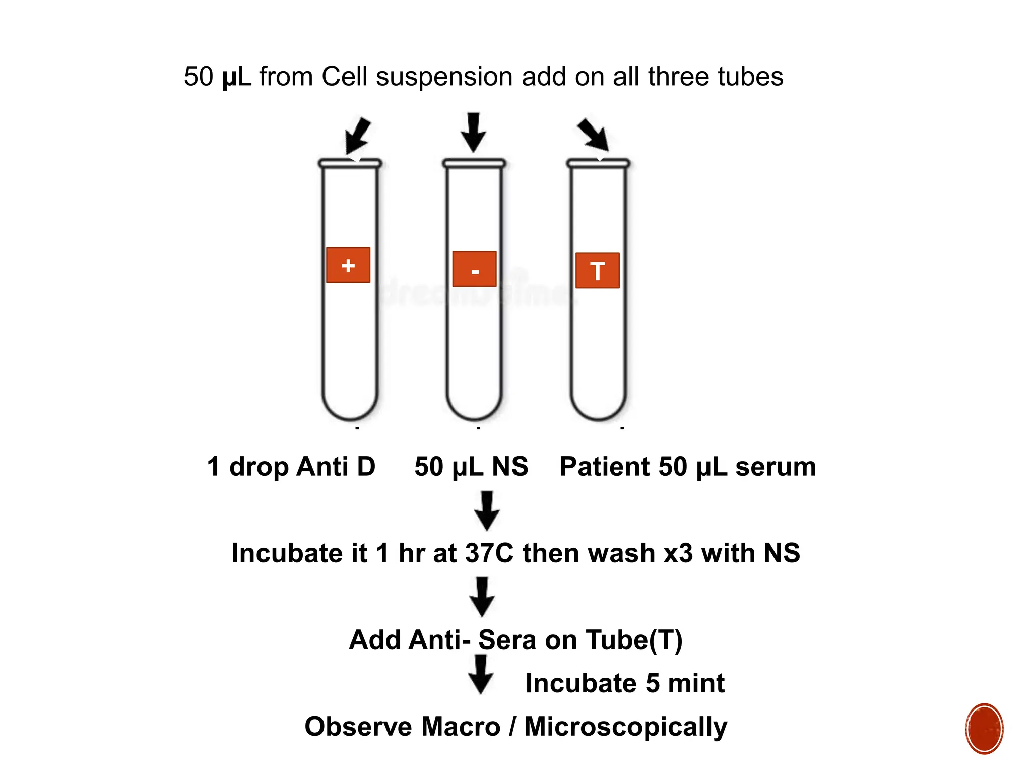 COOMB'S TEST.pptx