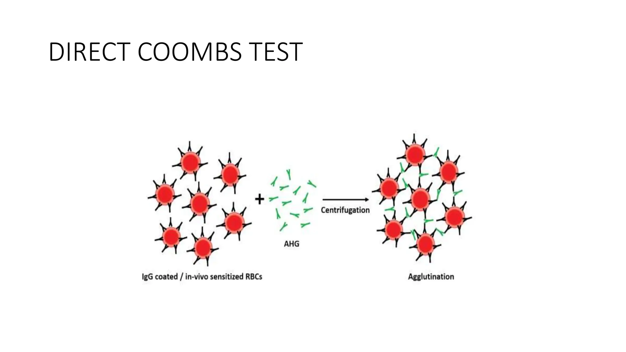 Coombs Test pathology of coombs test.pptx