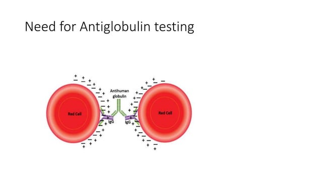 Coombs Test pathology of coombs test.pptx