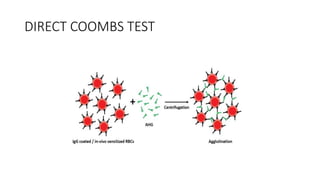 Coombs Test pathology of coombs test.pptx