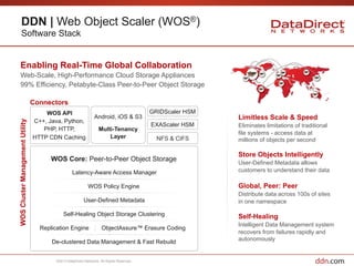 DDN: Massively-Scalable Platforms and Solutions Engineered for the Big ...