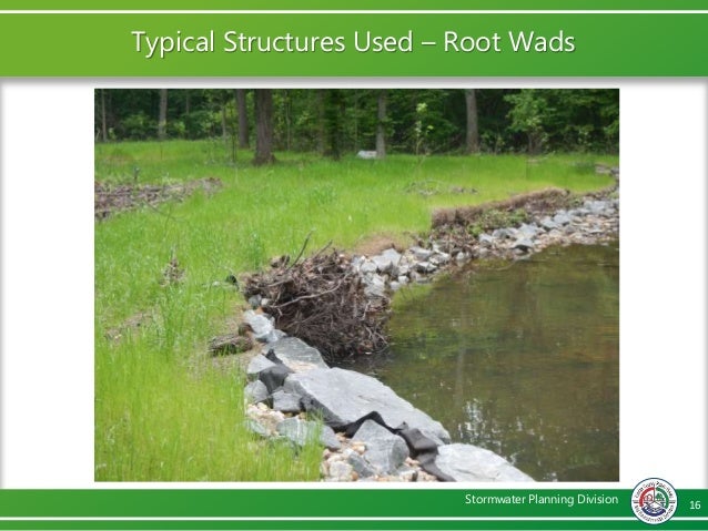 Coon Branch at Annandale Community Park-Stream Restoration Project