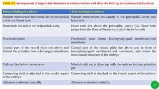 Connecting Stalks.......................pdf