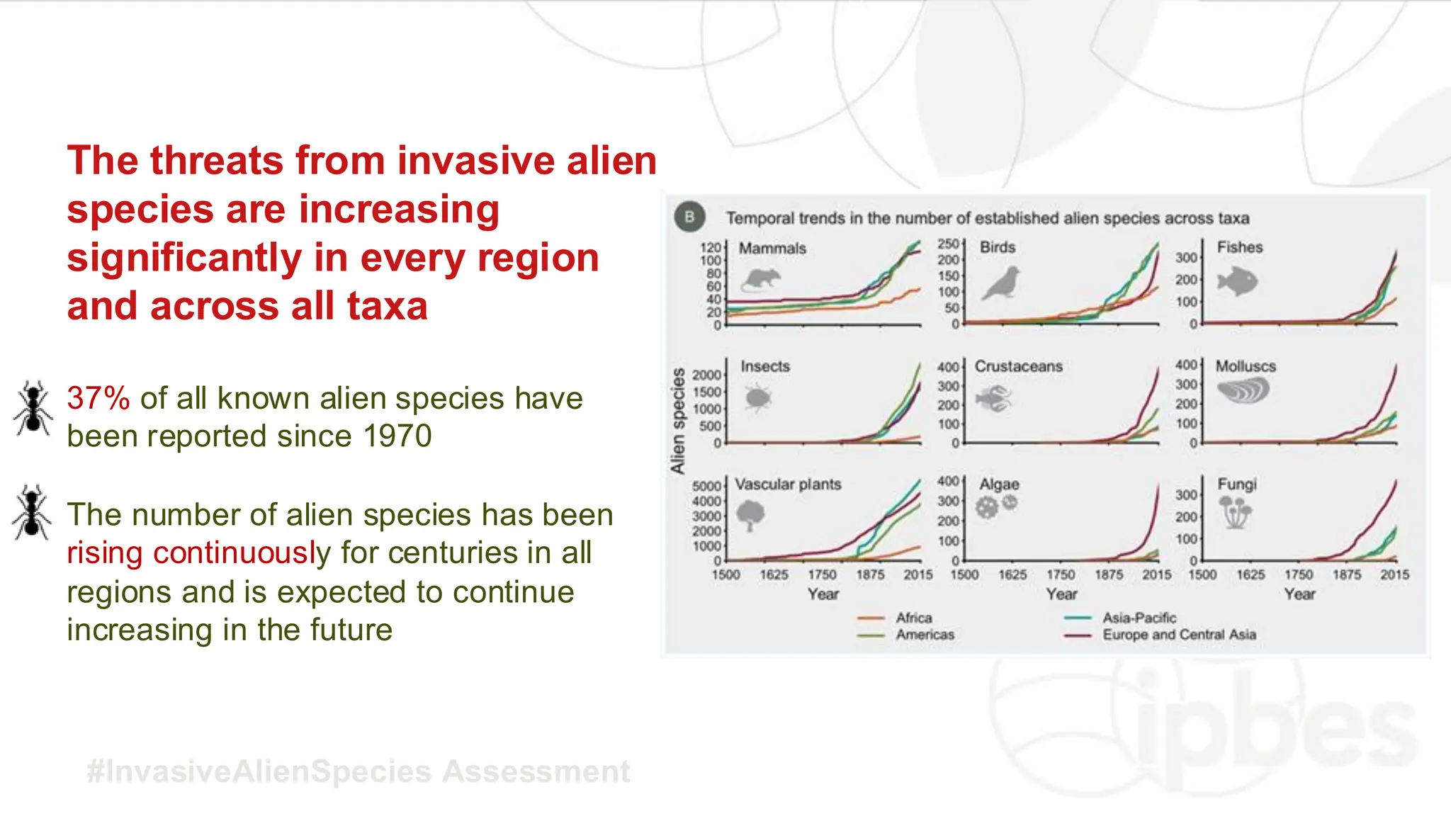 COOP4CBD Invasive Alien Species Presentation 1 | PDF