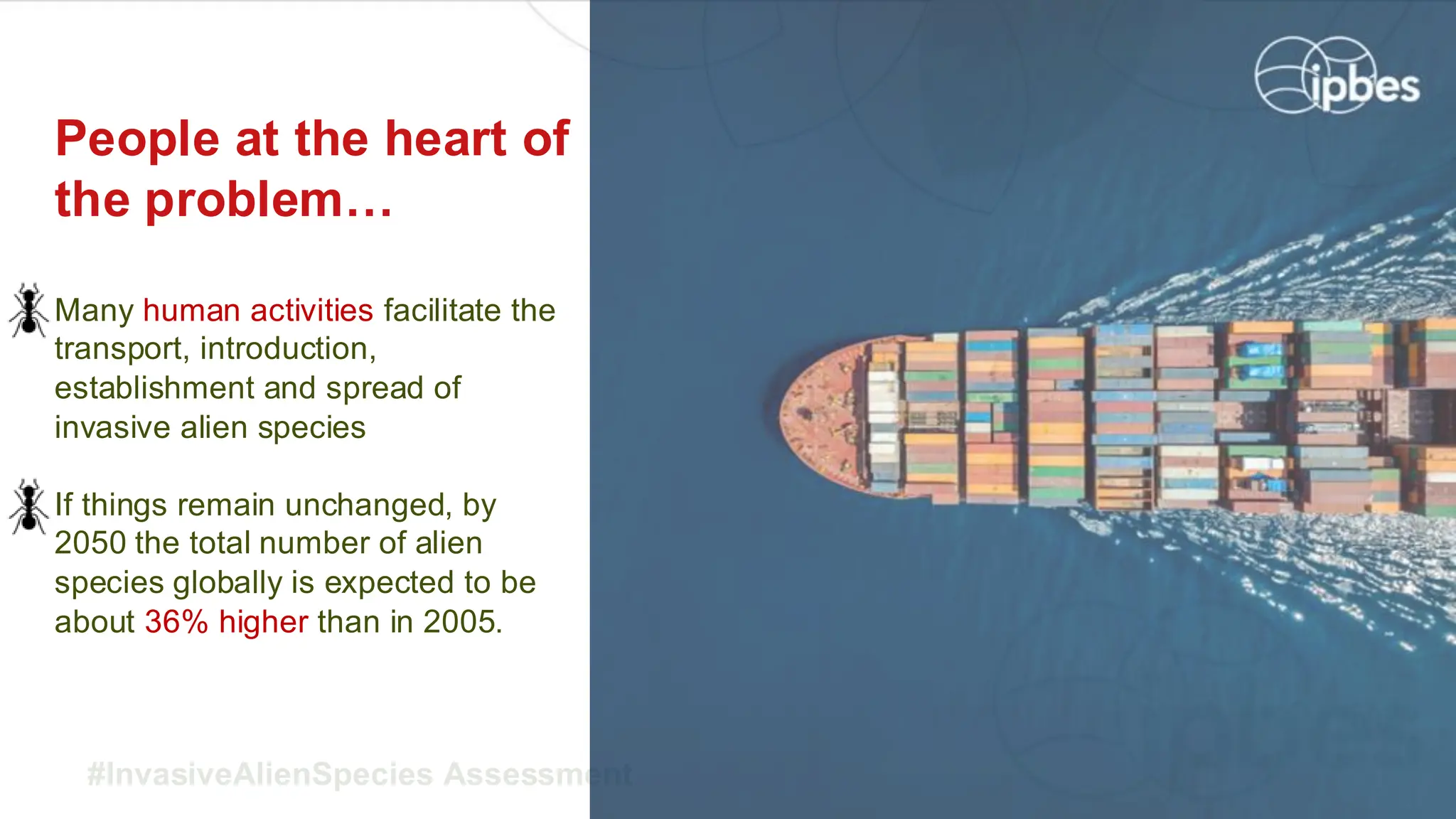COOP4CBD Invasive Alien Species Presentation 1 | PDF