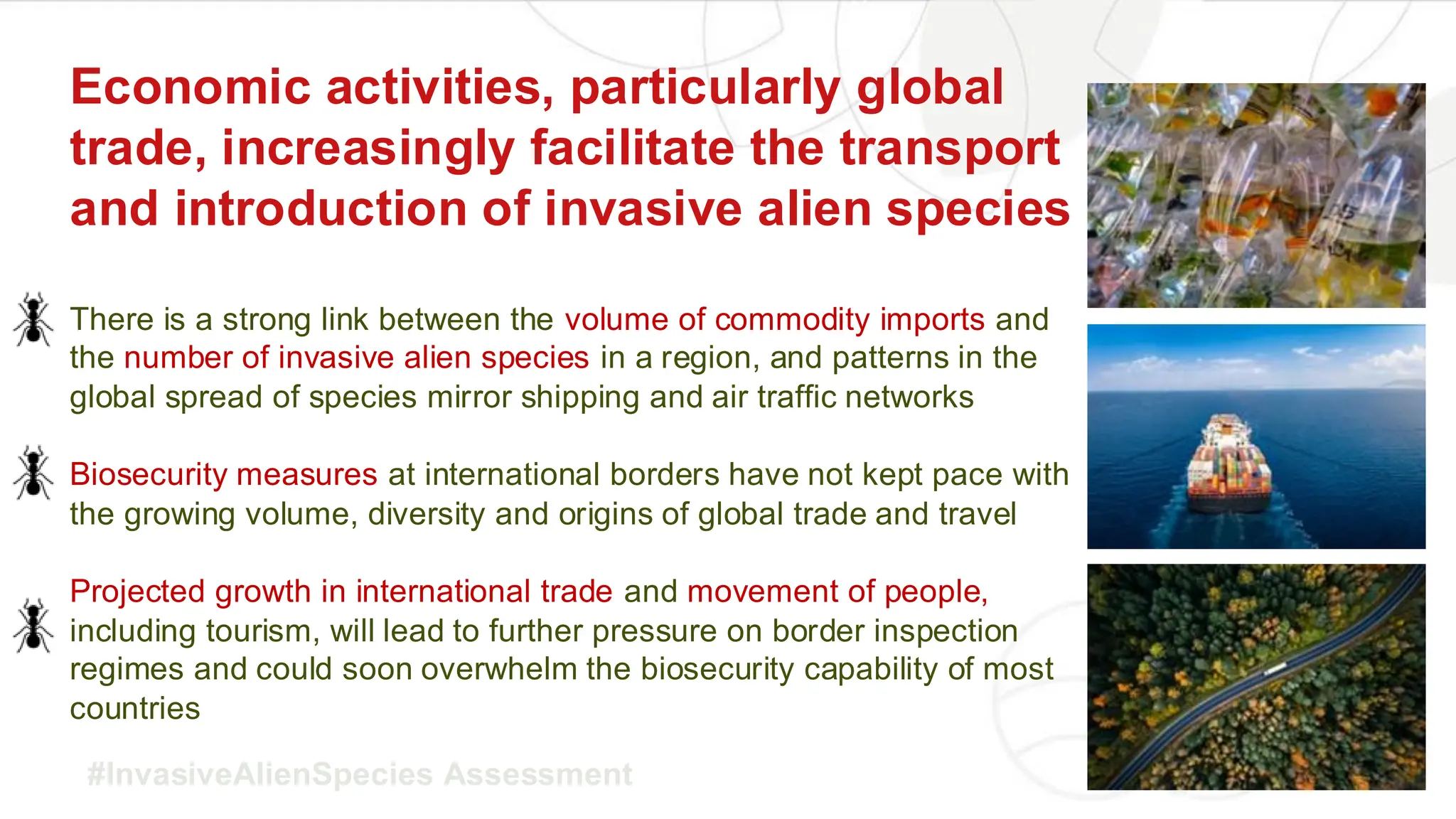 COOP4CBD Invasive Alien Species Presentation 1 | PDF