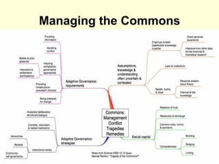 Cooperation theory | PDF