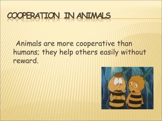 Cooperation vs Competition | PPT