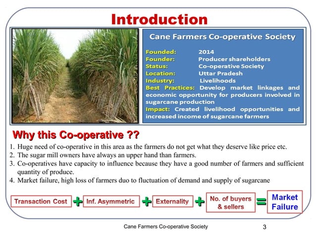 Co operative business plan group-1 | PPT | Agriculture | Industries