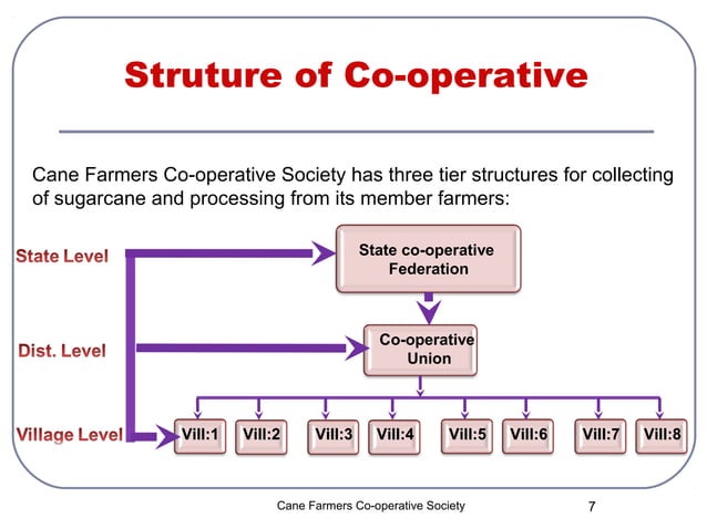 Co operative business plan group-1 | PPT | Agriculture | Industries