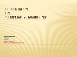 Cooperative marketing | PPTX