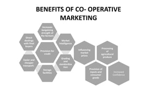 Cooperative marketing training | PPTX