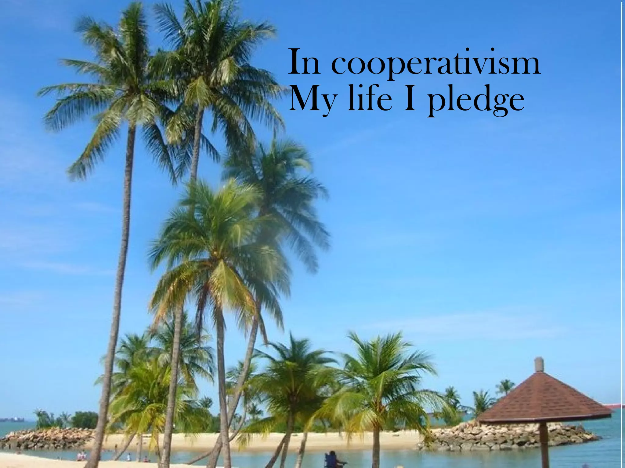 Cooperative Pledge | PPT