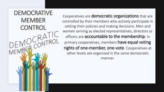 Cooperative Principles.pptx