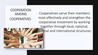 Cooperative Principles.pptx