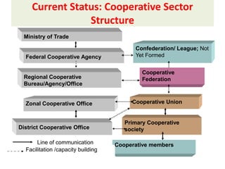 Cooperatives in ethiopia | PDF