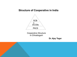 Cooperative Structure.pptx