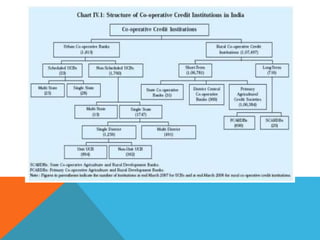 Cooperative Structure.pptx