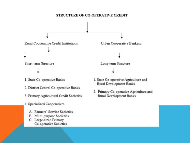 Cooperative Structure.pptx | Agriculture | Industries
