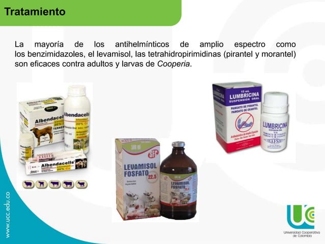 Cooperia spp | PPTX