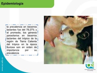 Cooperia spp | PPTX