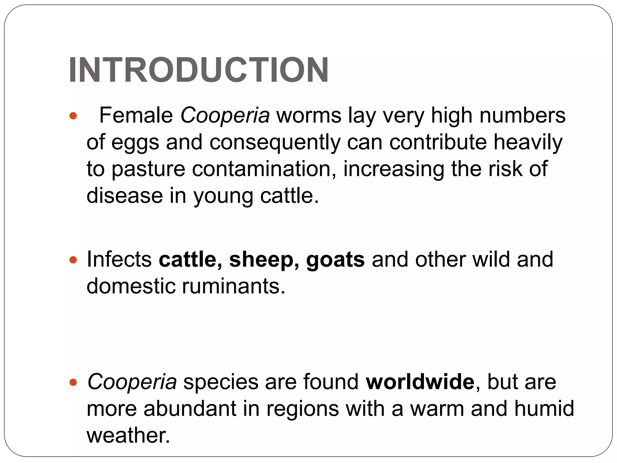 cooperia. Muhammad Arif 2021-ag-424.pptx