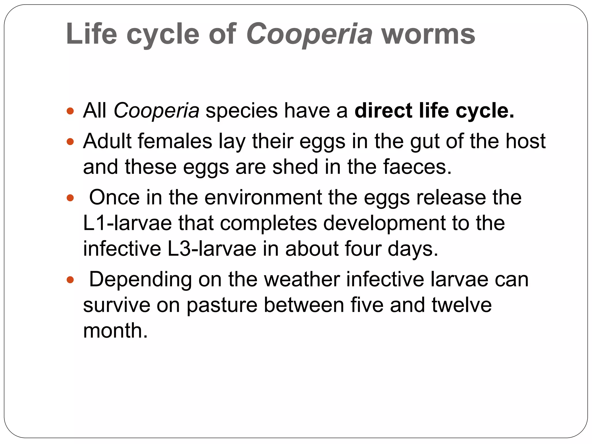 cooperia. Muhammad Arif 2021-ag-424.pptx