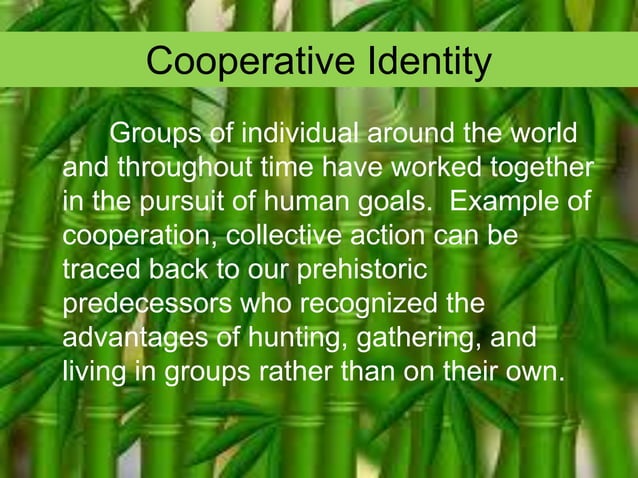 Coop Identity, Values, Principles, Governance and Best Practices | PDF ...