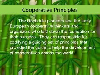 Coop Identity, Values, Principles, Governance and Best Practices | PDF