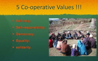 CO OPERATIVES !!! | PPTX | Agriculture | Industries