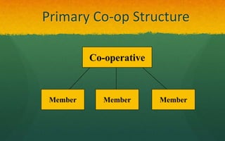 CO OPERATIVES !!! | PPTX | Agriculture | Industries