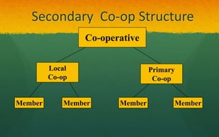 CO OPERATIVES !!! | PPTX | Agriculture | Industries