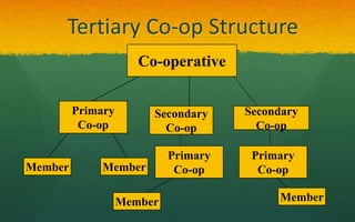 CO OPERATIVES !!! | PPTX