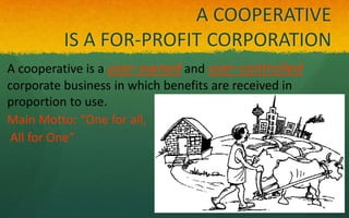 CO OPERATIVES !!! | PPTX